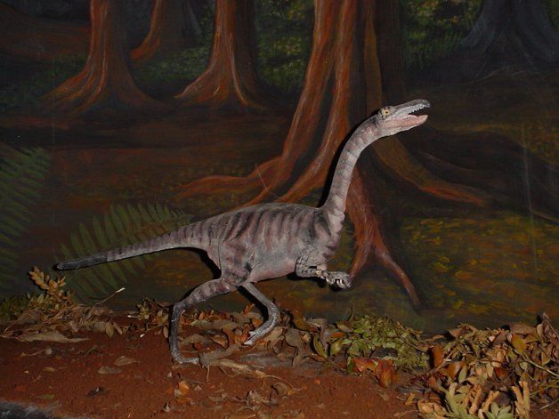 Cómo era la ciudad de Neuquén 85 millones de años atrás