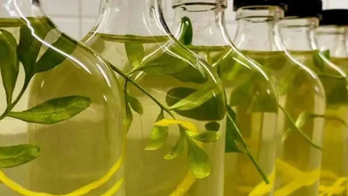 ¿Por qué se toma caña con ruda el 1 de agosto?