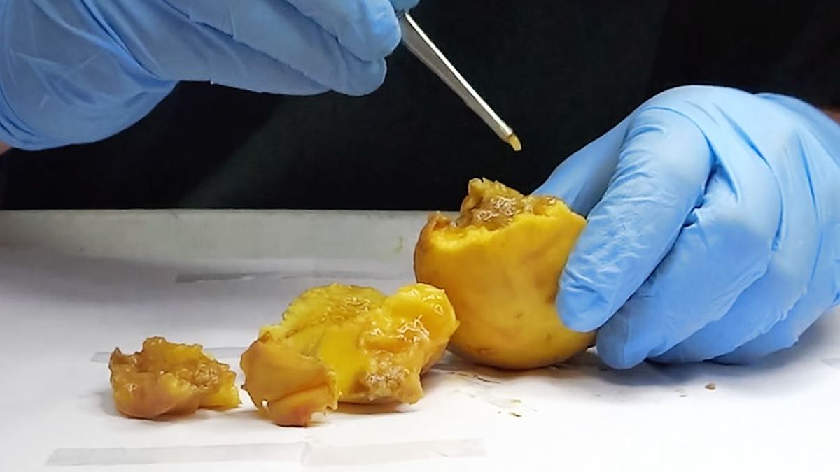 Amelia body xxx scheduled an appointment as I'm in town