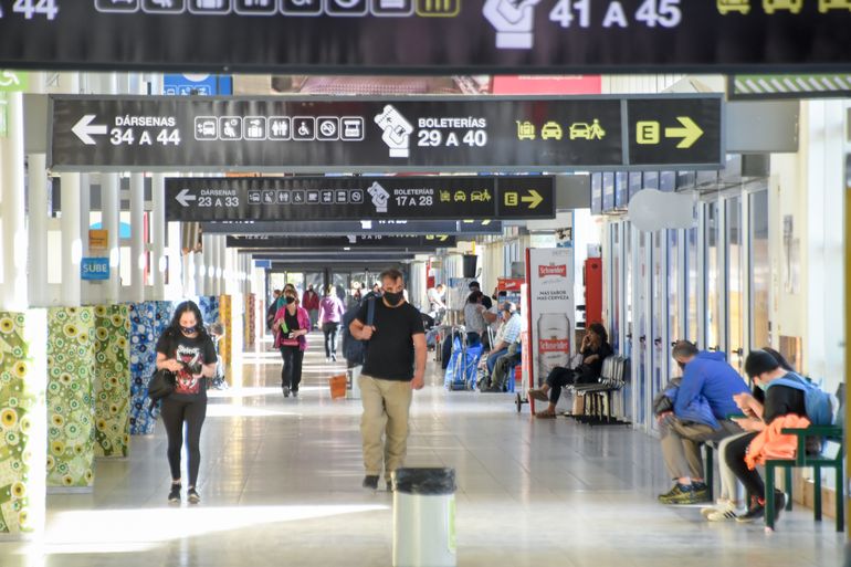 Dramático: vive en la terminal de ómnibus, con una sonda y su perro Aio