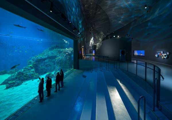 Diseño y estructura en el mar