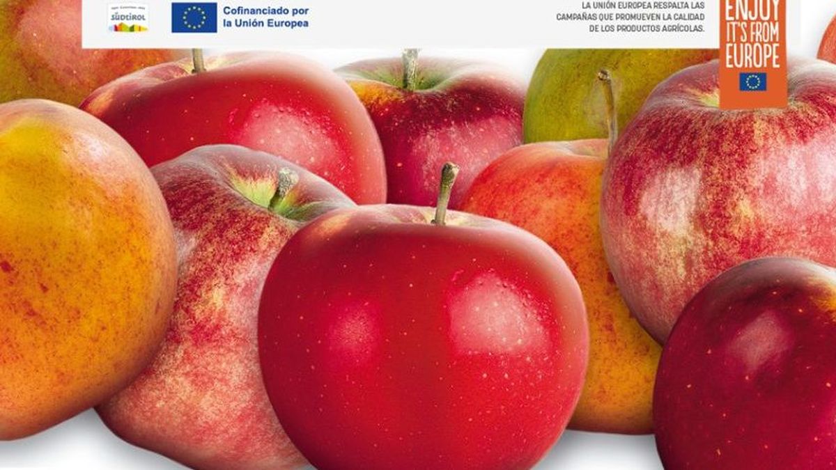 Manzana en la Unión Europea: tendencias de producción y consumo de cara ...