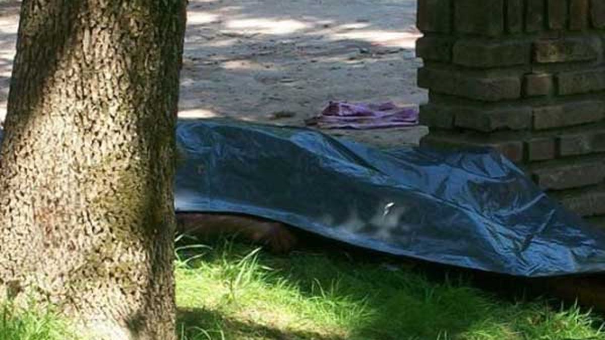 Dos perros atacaron y mataron a un cartero Dos perros atacaron y mataron a un cartero