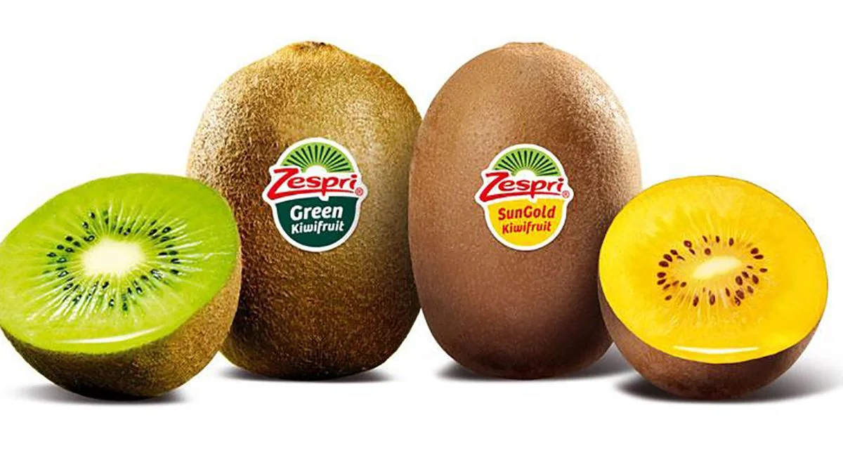 Kiwi: Zespri proyecta retornos históricos para productores en 2025/26