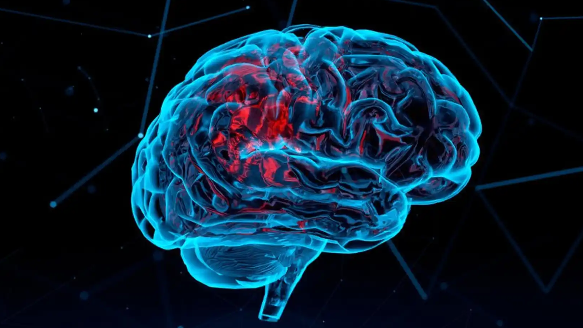 ¿Cuál es la diferencia entre ser listo o inteligente?
