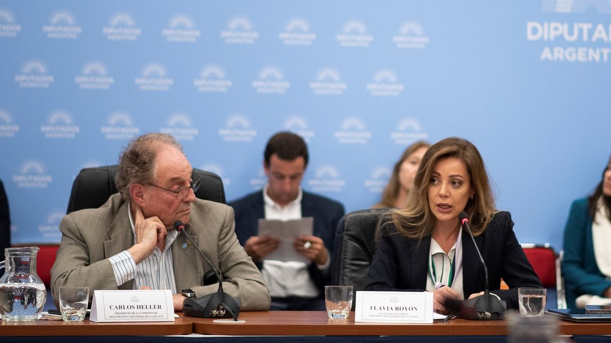 Royon adelantó que en febrero se realizará la revisión tarifaria integral