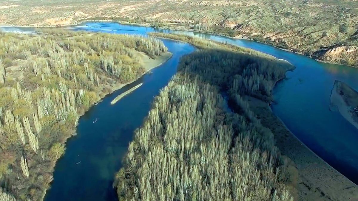 El Limay, otra vía para Vaca Muerta