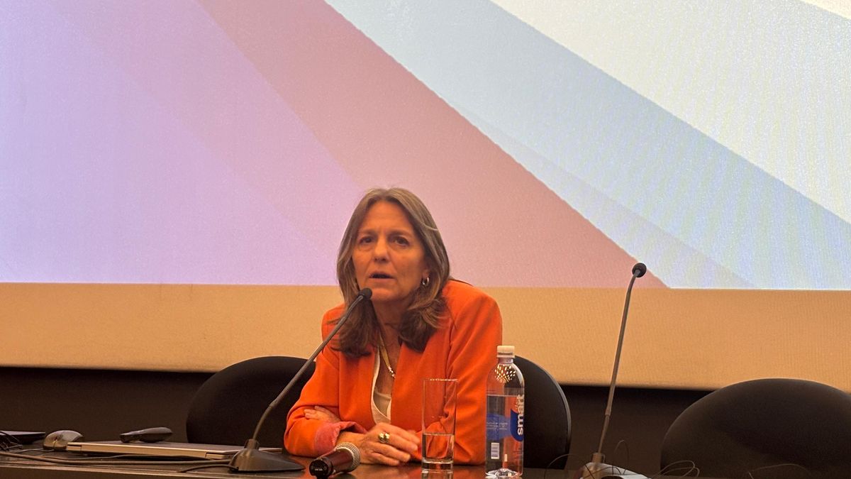 María Tettamanti brindó detalles sobre lo que pasará con el Plan Gas