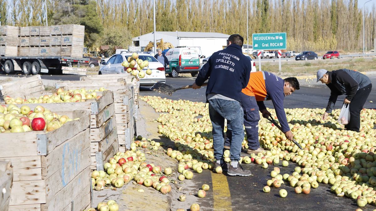 Impactante: camión repleto de manzanas perdió la carga en la rotonda ...