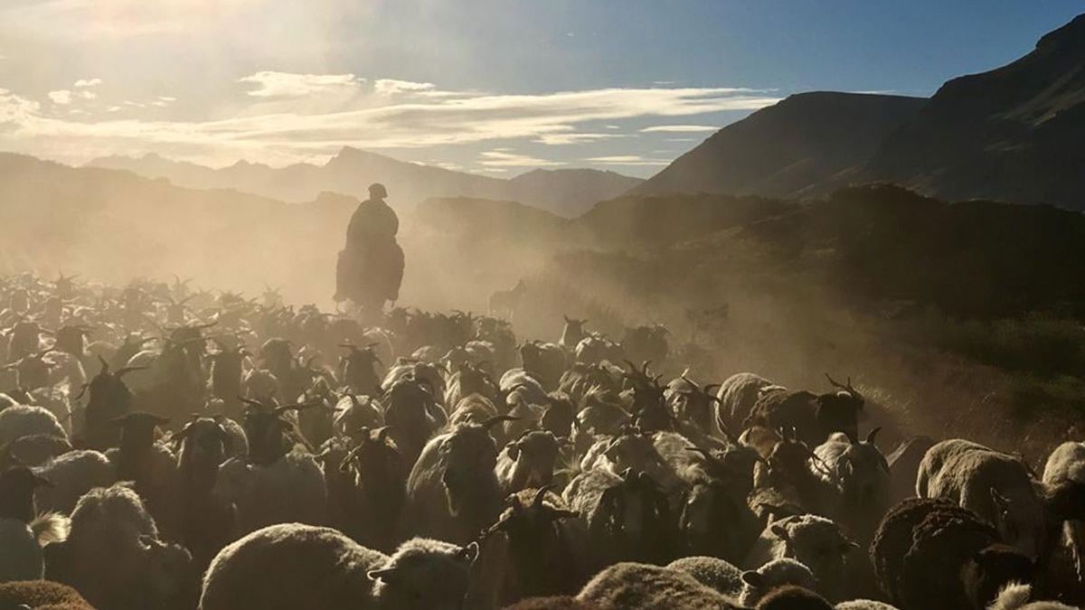 El camino de la invernada en primera persona