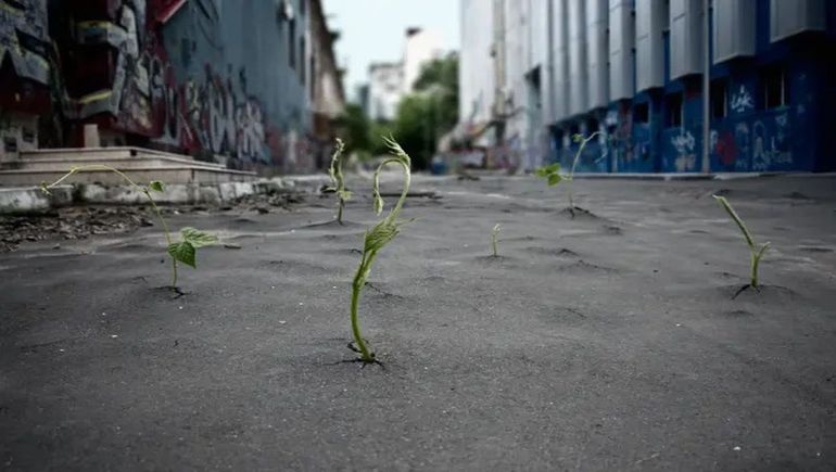 La ciencia revela cómo sería un mundo sin humanos