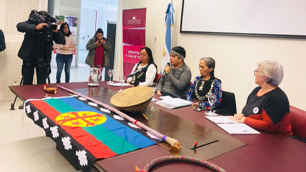 Presentan proyecto para oficializar la lengua mapuche mapuzugun