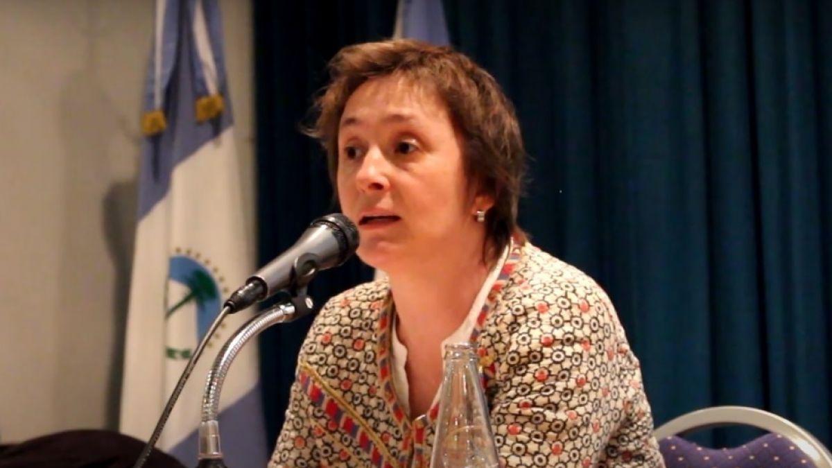 Investigadores de la UNCo repudiaron los dichos de Milei de privatizar ...
