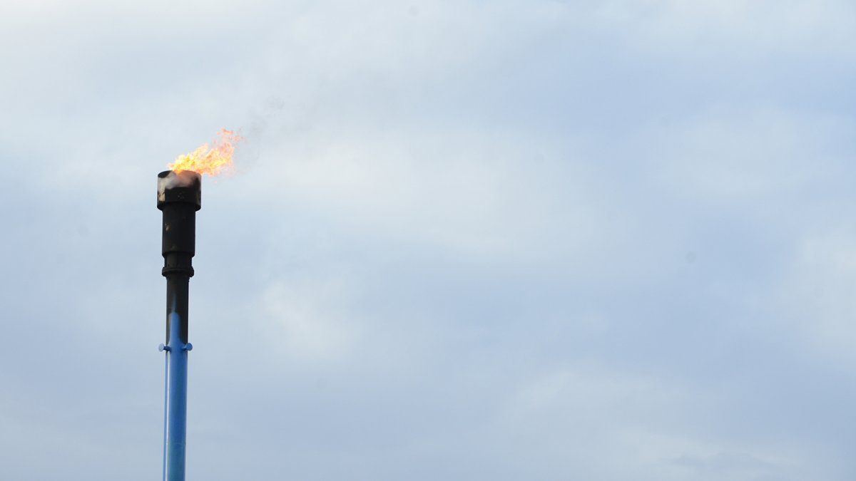 Últimas noticias sobre venteo