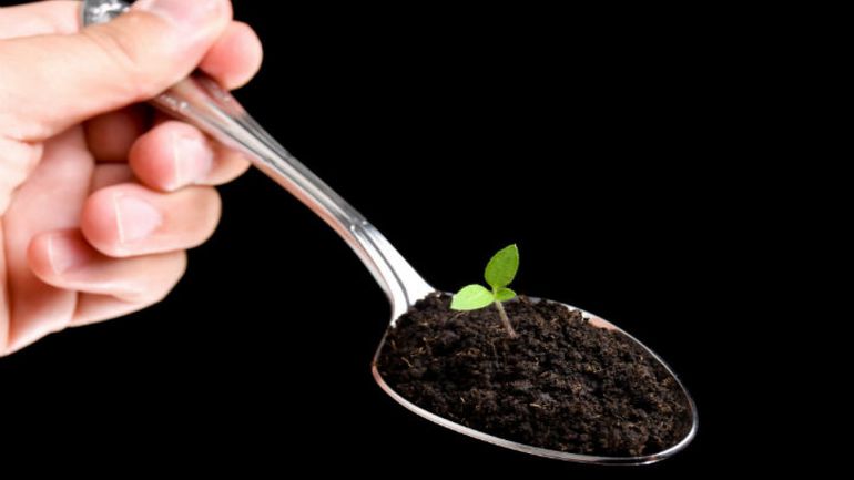 Comer tierra: de qué se trata la geofagia, una tradición que los ...