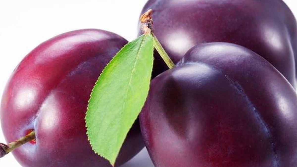 Sudáfrica presenta nuevas variedades de ciruelas tempranas