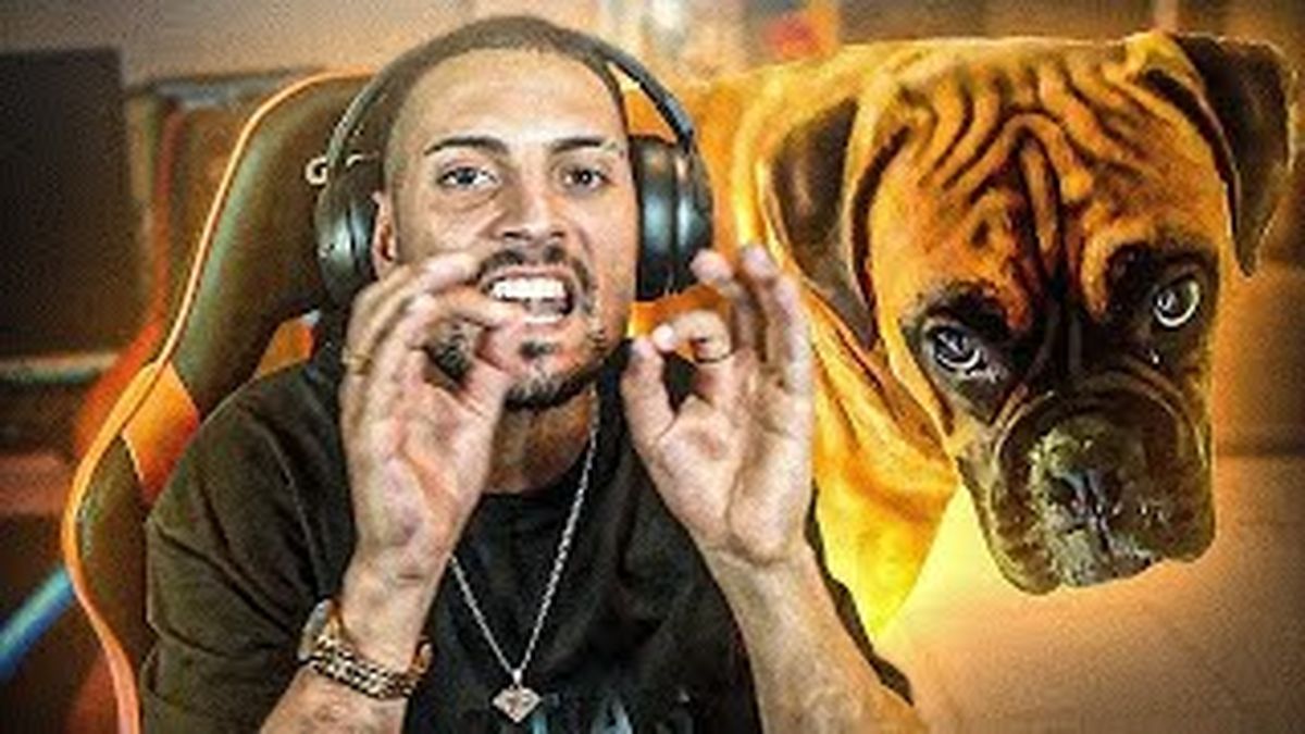 Cómo son los perros asesinos del streamer Coscu: cuál es la denuncia ...