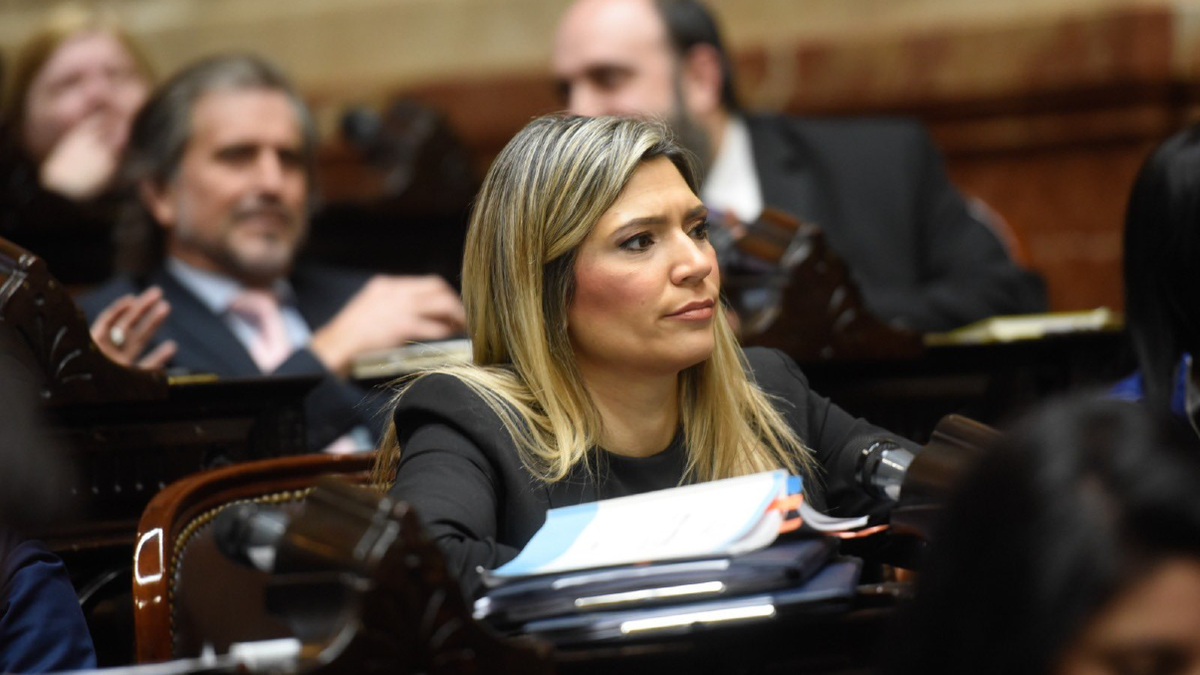 Nadia Márquez cuestionó la comisión investigadora del caso $Libra