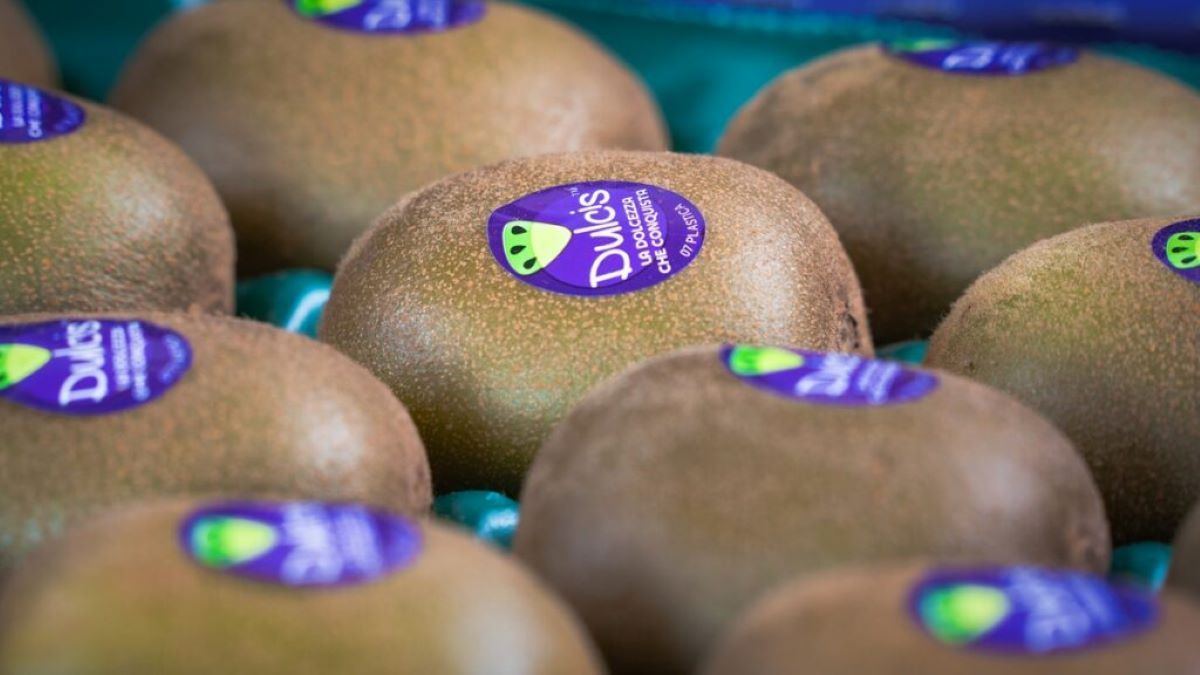Este kiwi premium que triplicó sus ventas y sorprendió al mercado europeo
