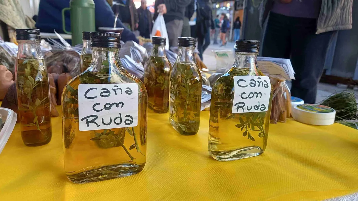 Contra todos los males ¿Cómo hacer caña con ruda?