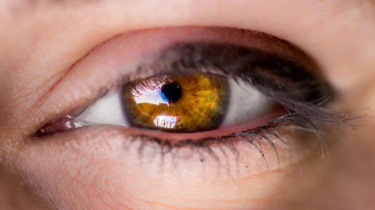 El color de ojos es único, igual que la huella digital