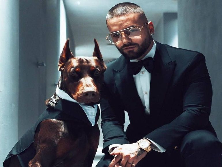 Maluma fue atacado por su perro y sufrió daños en la cara