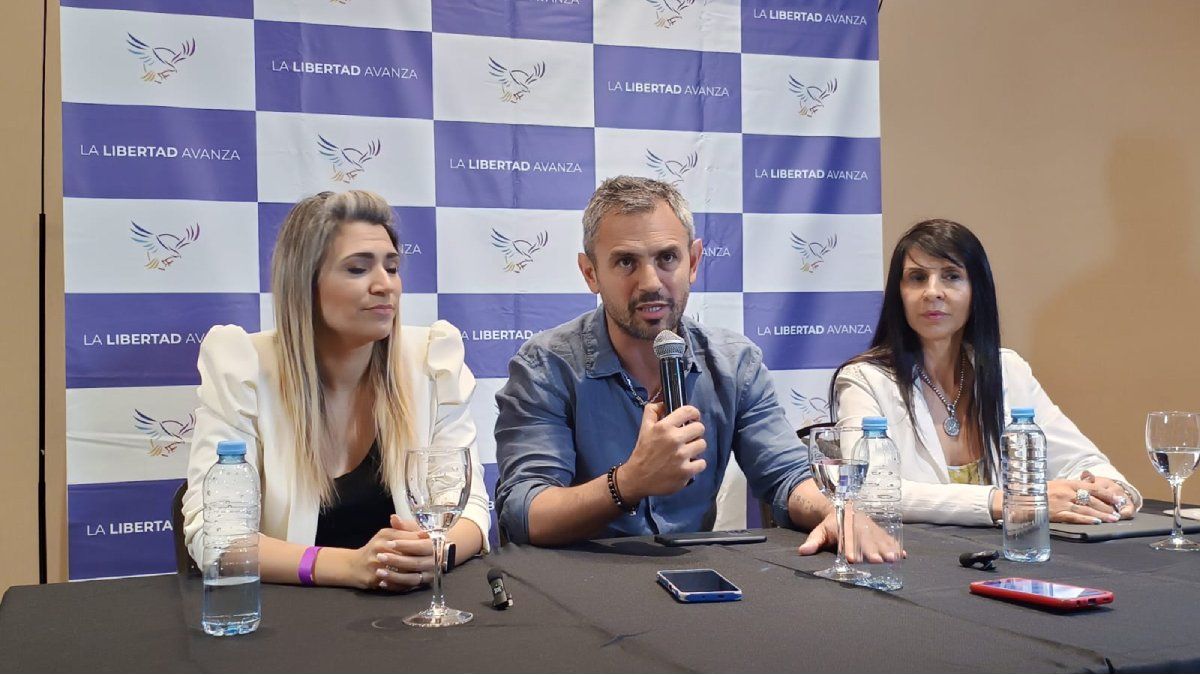 La Libertad Avanza aterrizó en Neuquén: Martín Menem anticipó a Milei ...