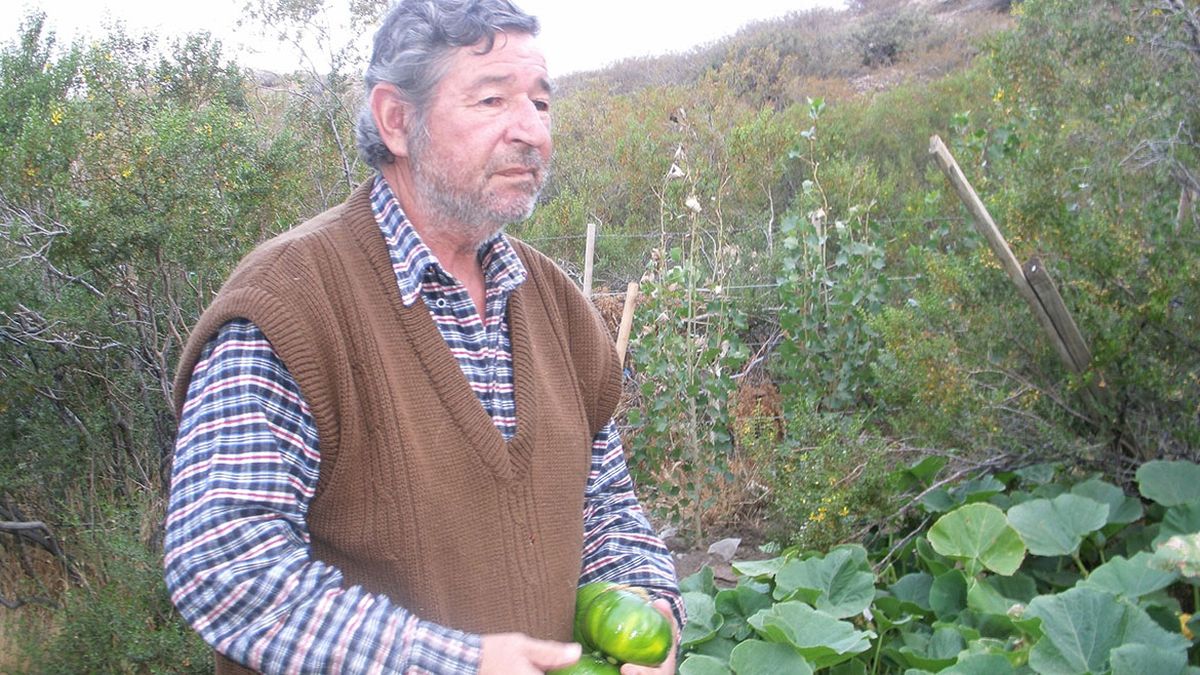 El desafío de vivir para siempre con un dolor inmenso