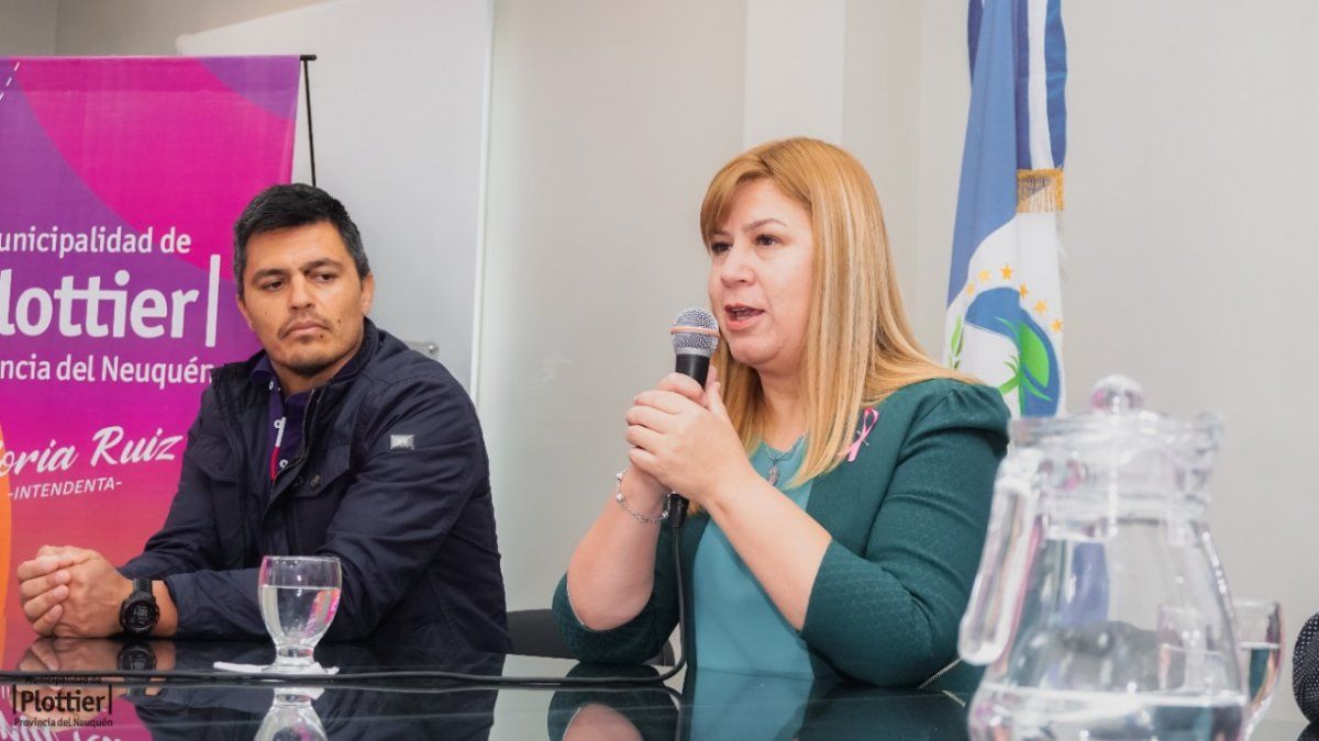 Por los transformadores, la Muni de Plottier pedirá la intervención de ...