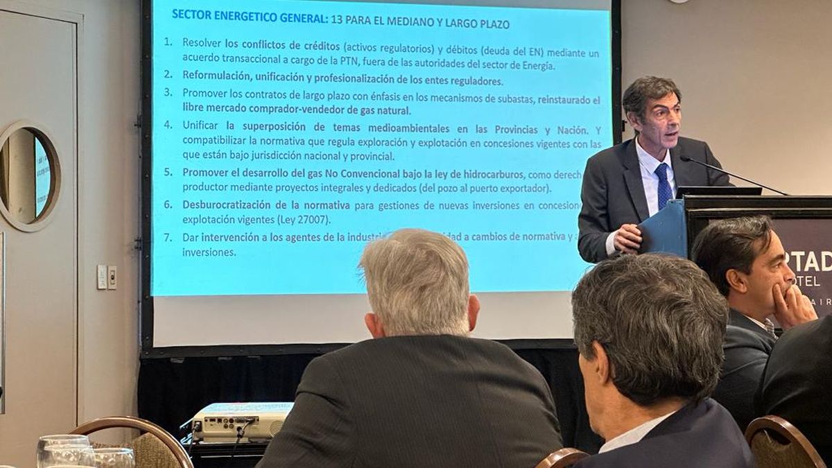 Rodríguez Chirillo fue confirmado como secretario de Energía