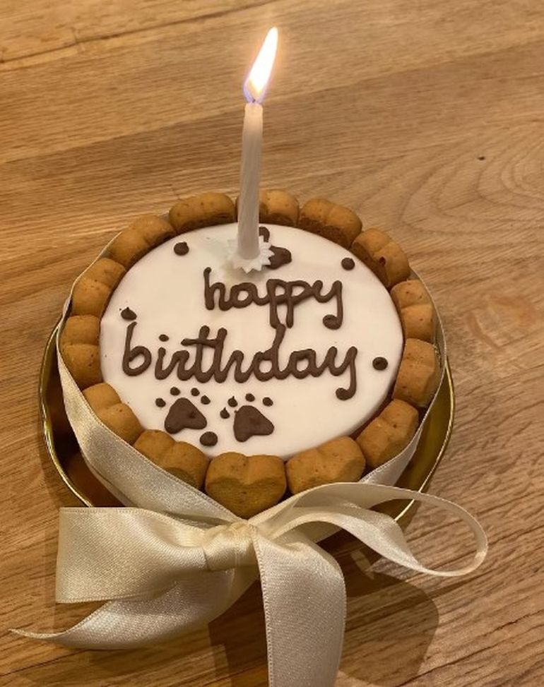 Las fotos: así le festejó Eva Anderson el cumpleaños a… ¡su perra!