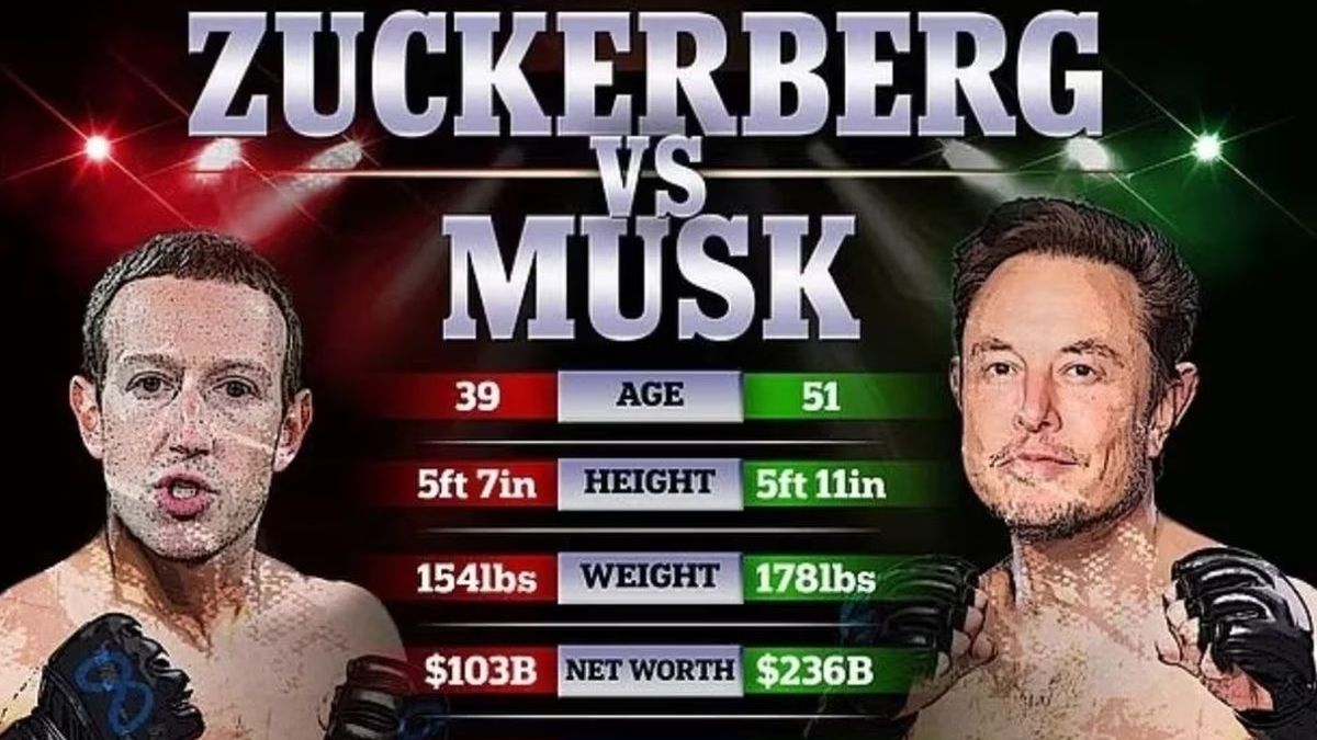 Elon Musk arrugó y postergó su pelea con Zuckerberg