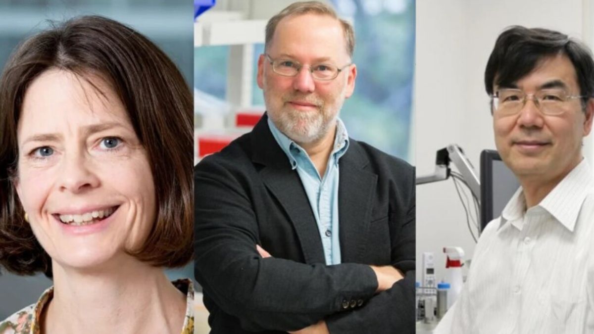 Quiénes ganaron el premio Nobel de Medicina 2025: el descubrimiento de ...