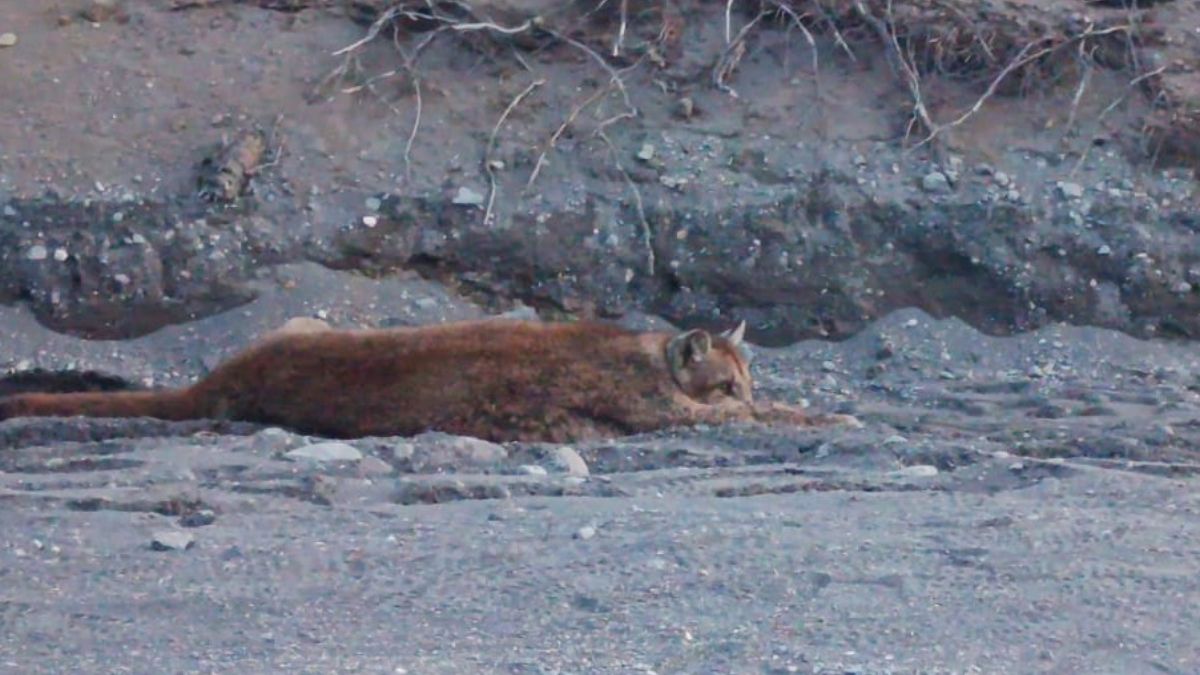 Iamdivaflawlessporn location was okay, average, but when