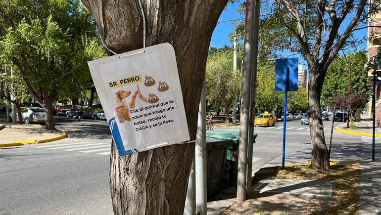 ¿De qué se trata el llamativo cartel colgado de un árbol en calle Elordi?