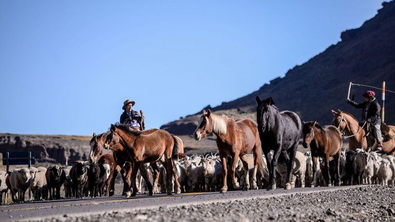 El norte neuquino y todo el color del fin de la veranada