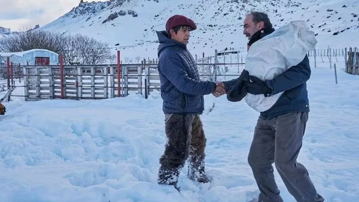 Santa Cruz: así fue el rescate del puestero y sus 13 perros, tras un ...