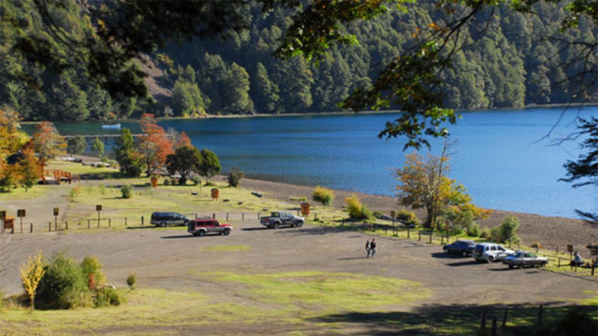 Disminuyó un 50% la población de colilargos en la cordillera