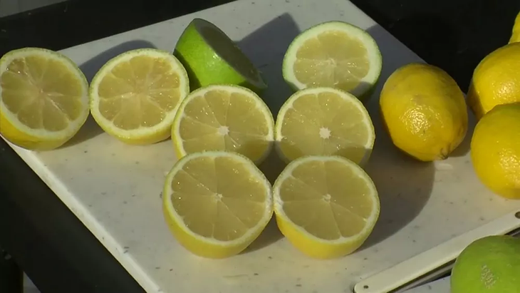Una nueva variedad de limón sin semilla sale al mercado