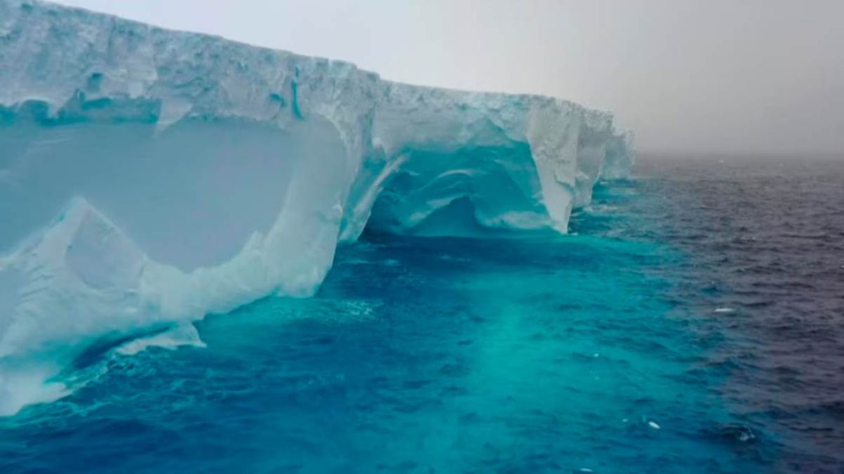 El iceberg más grande del mundo se desprendió de la Antártida y navega ...