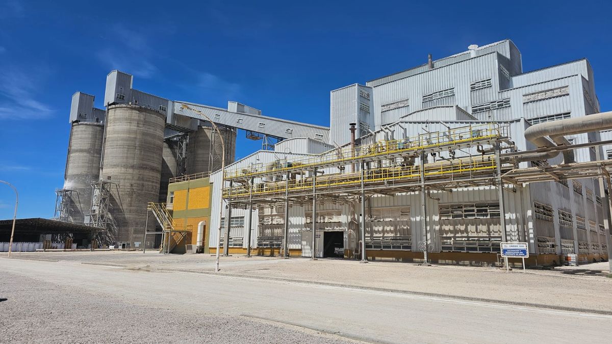 ALPAT reanuda su esquema de producción