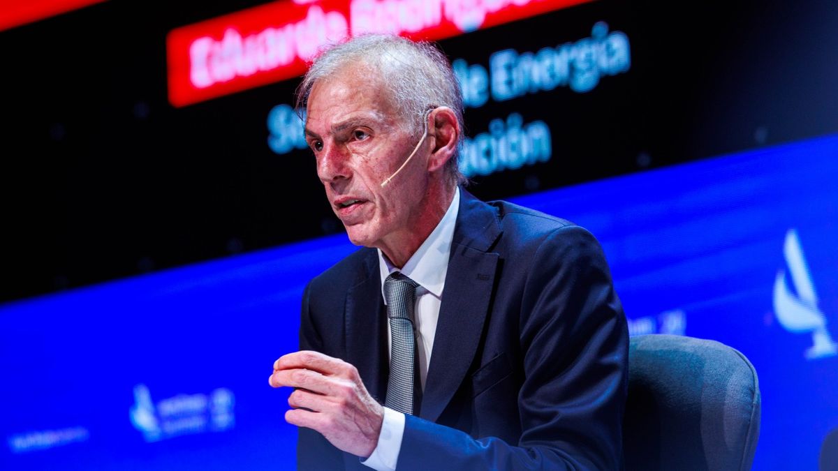 Rodríguez Chirillo: Tenemos que dejar el Plan Gas