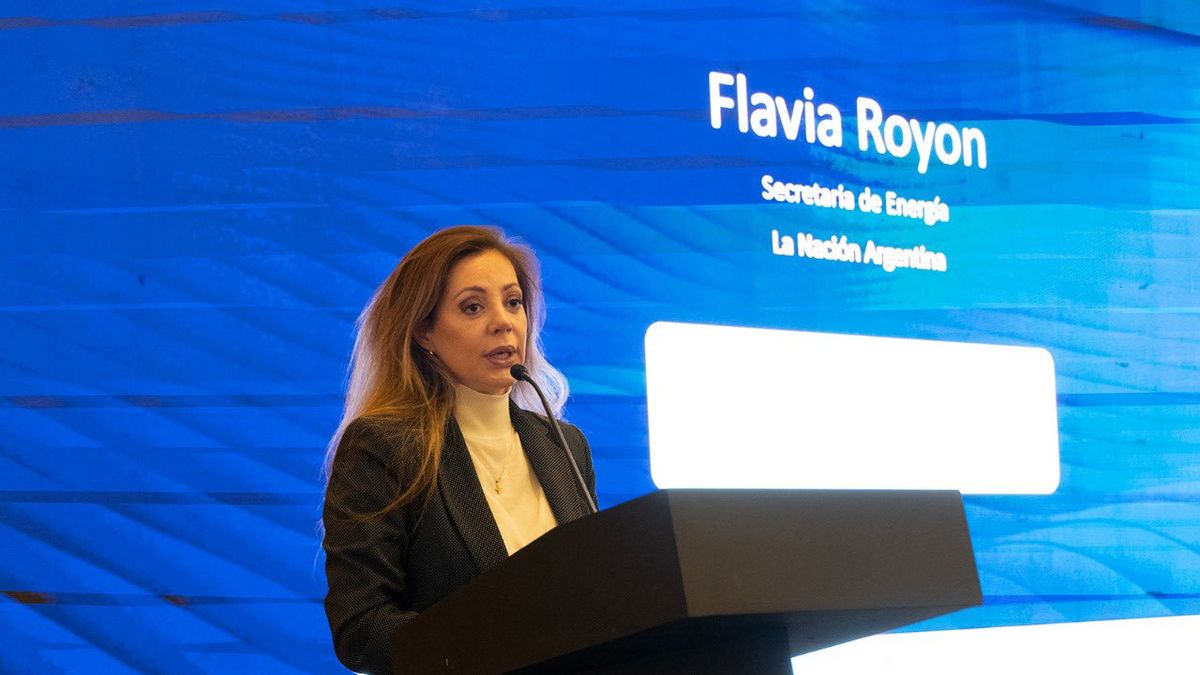 Royon: “Argentina tiene todo para la transición energética” Royon: “Argentina tiene todo para la transición energética”