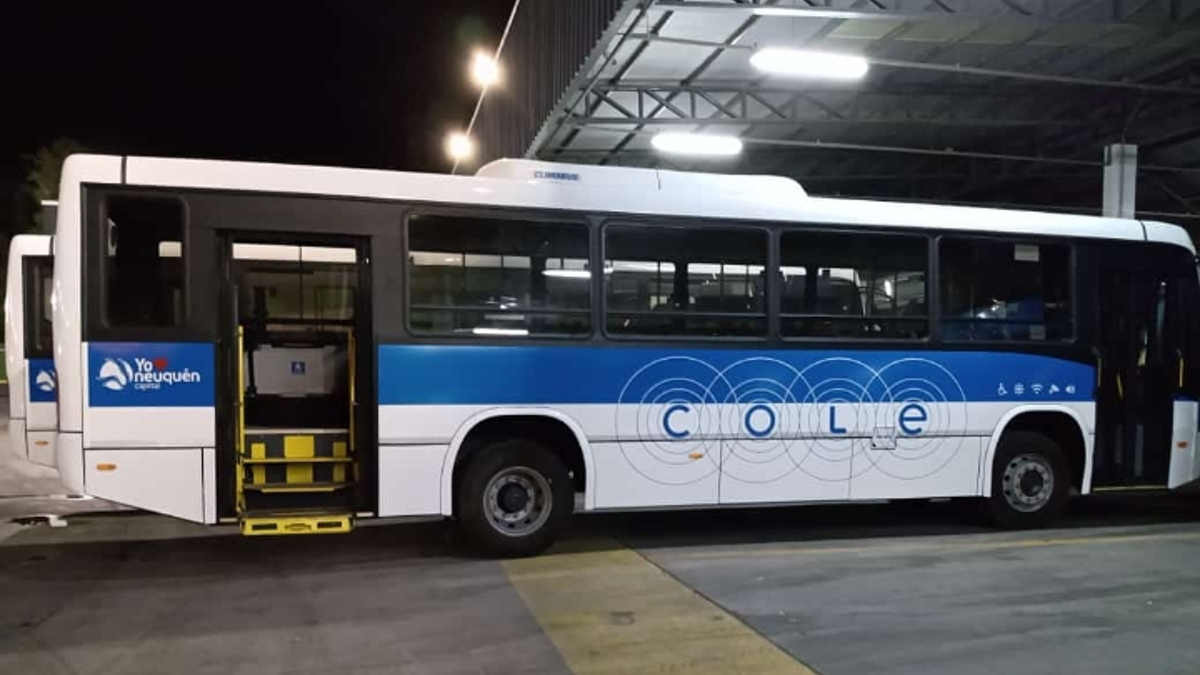Cómo son los nuevos colectivos que van a recorrer toda la ciudad