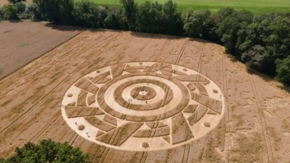 Alemania: aparecen agroglifos en una plantación de cereales