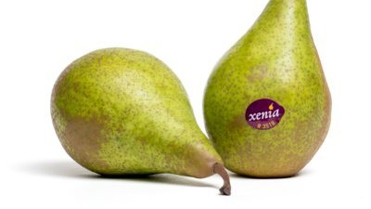 Xenia®, una pera que se está insertando en el mercado