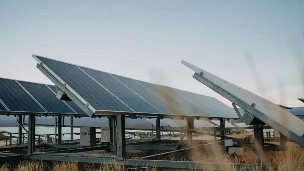 Energías renovables: lanzan el primer Censo Solar Fotovoltaico en Argentina