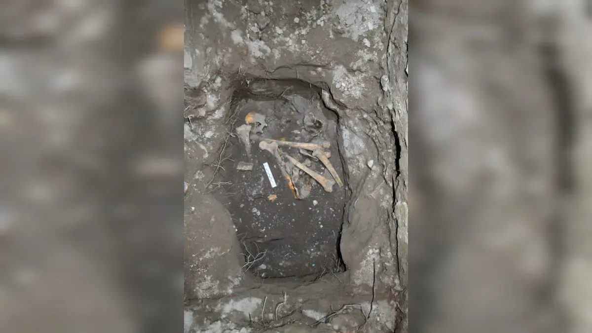 Qué son los huesos hallados en un conocido pub de Chos Malal Qué son los huesos hallados en un conocido pub de Chos Malal