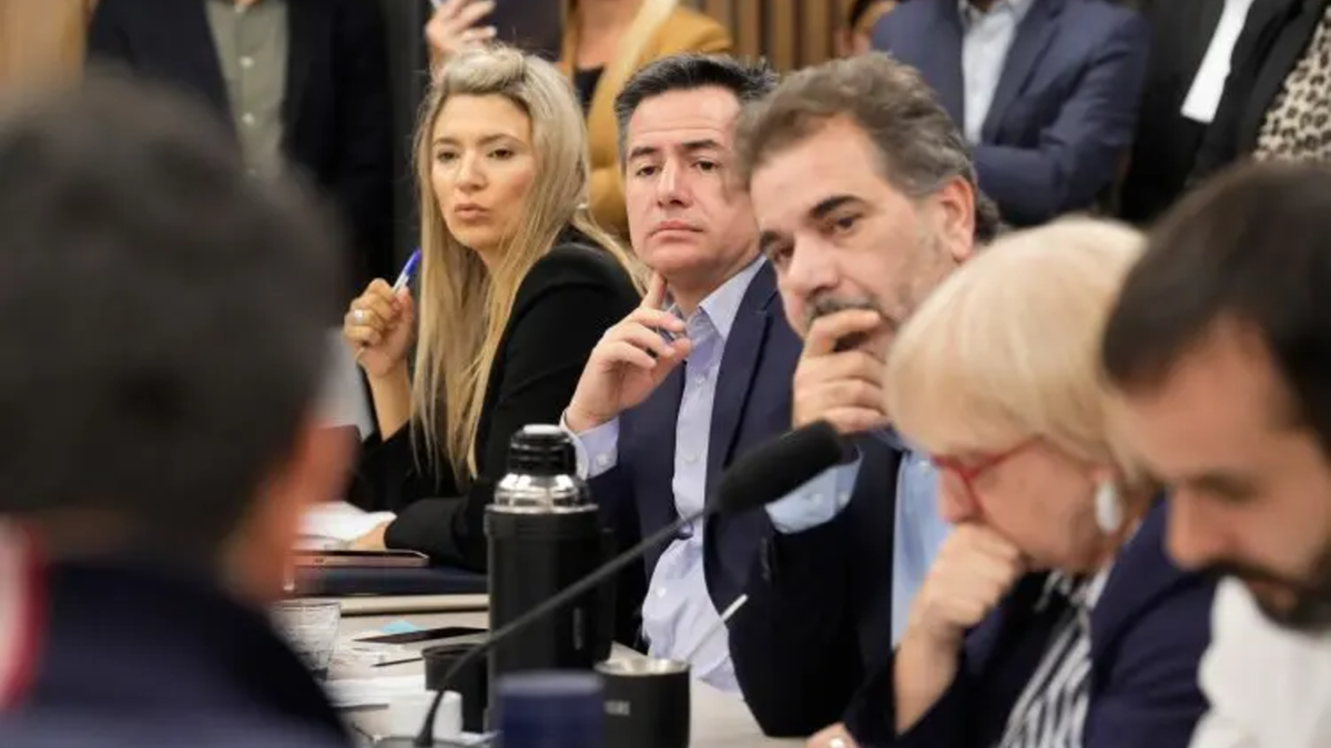 Nadia Márquez quedó sin posibilidad de presidir la comisión ...