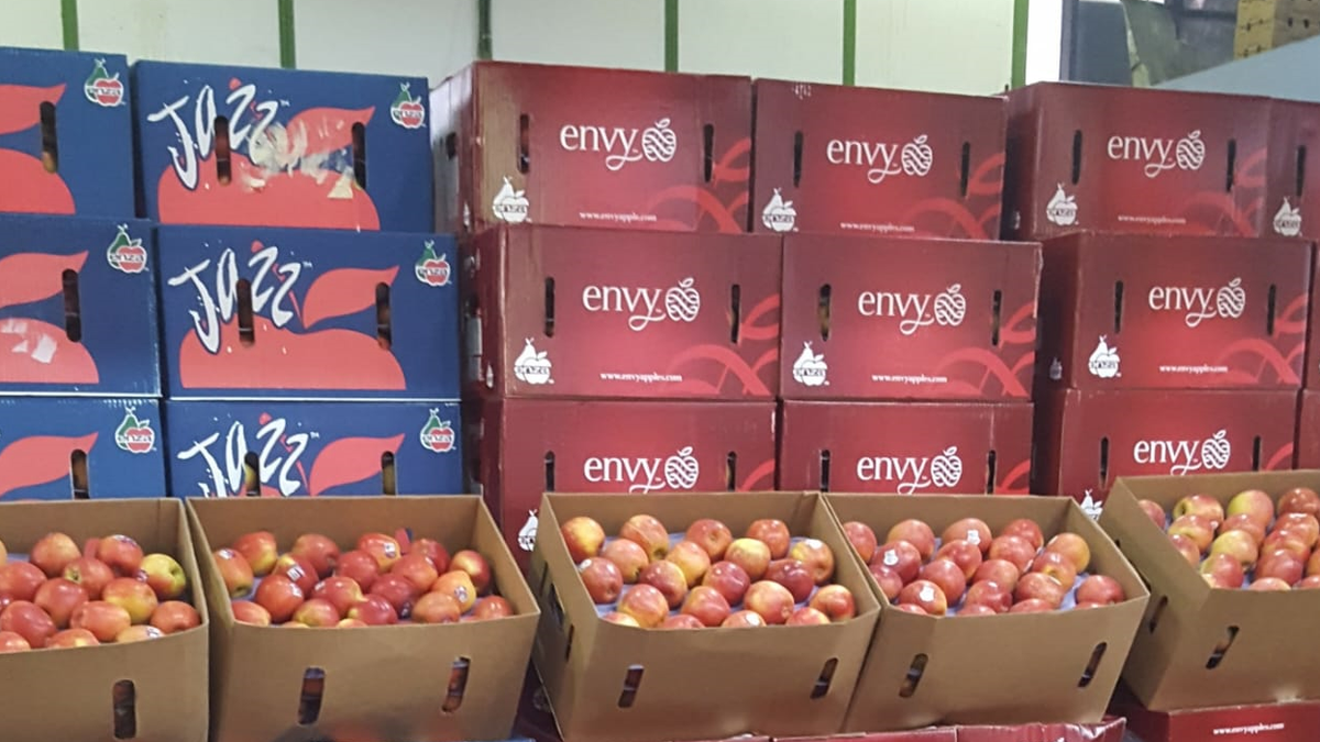 Variedades De Manzanas Tradicionales